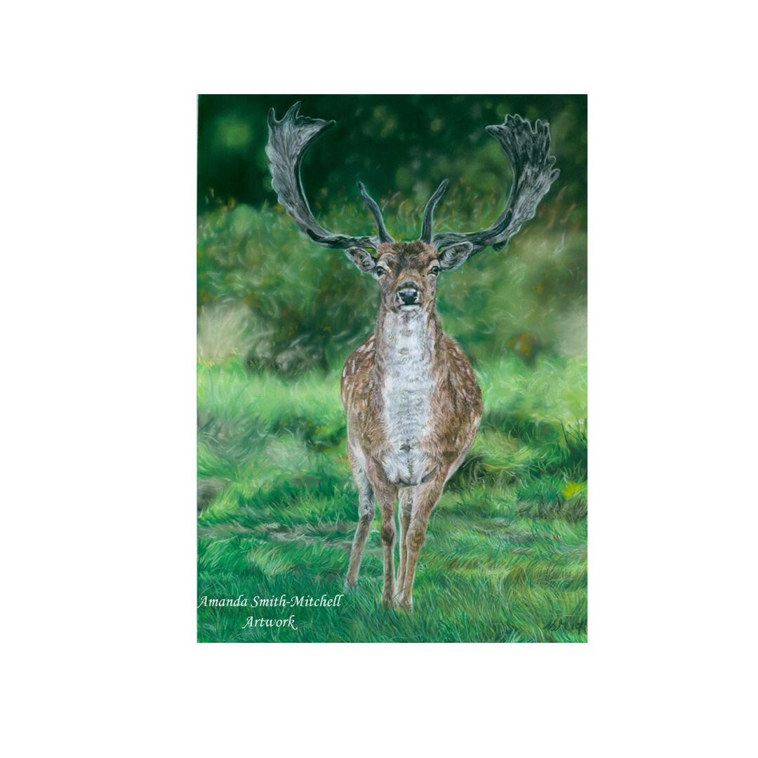 Fallow Deer Pastel Pencil Drawing: Original Stag Art (A3) - Etsy