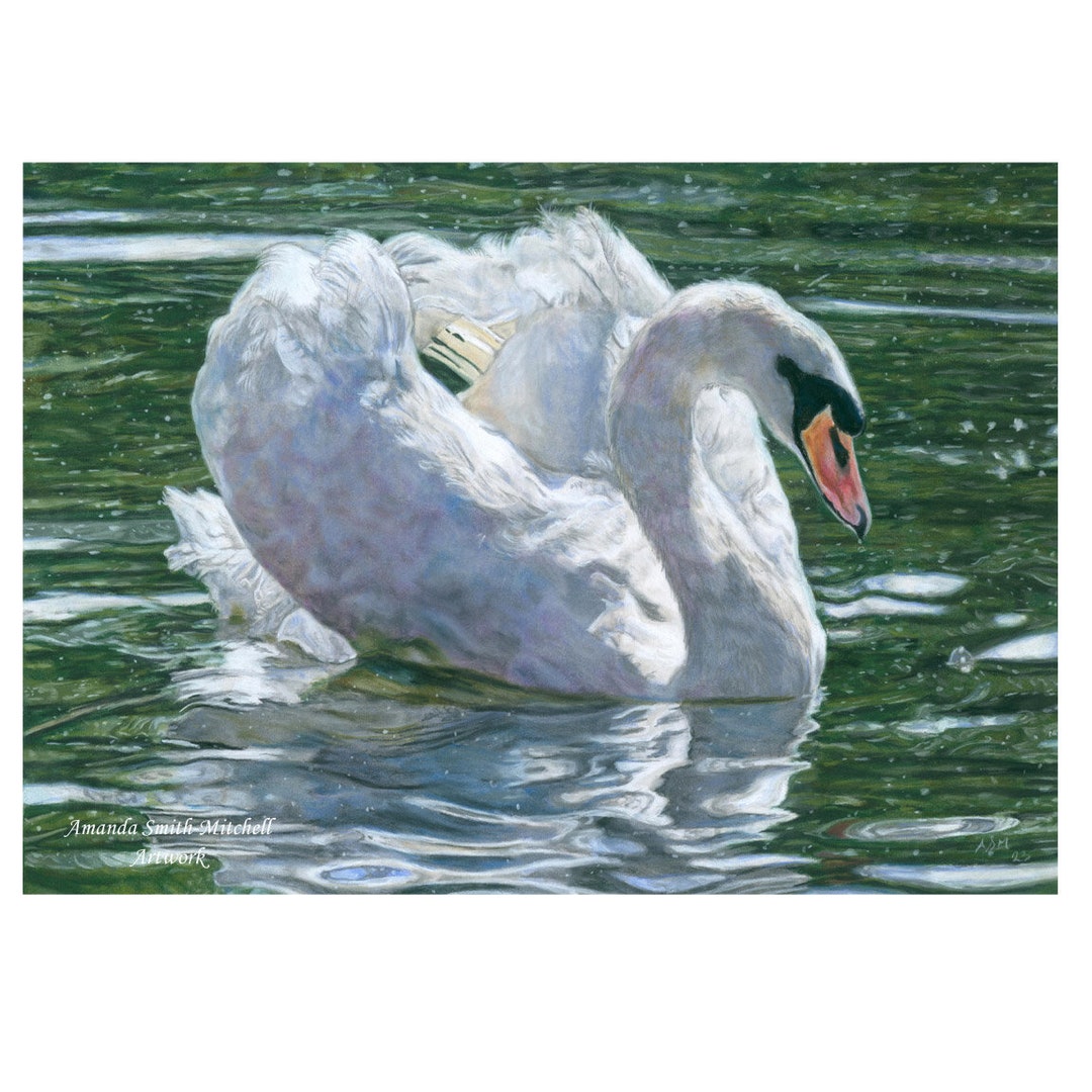 Original Swan Pastel Pencil Drawing: "grace" A3 Artwork - Etsy