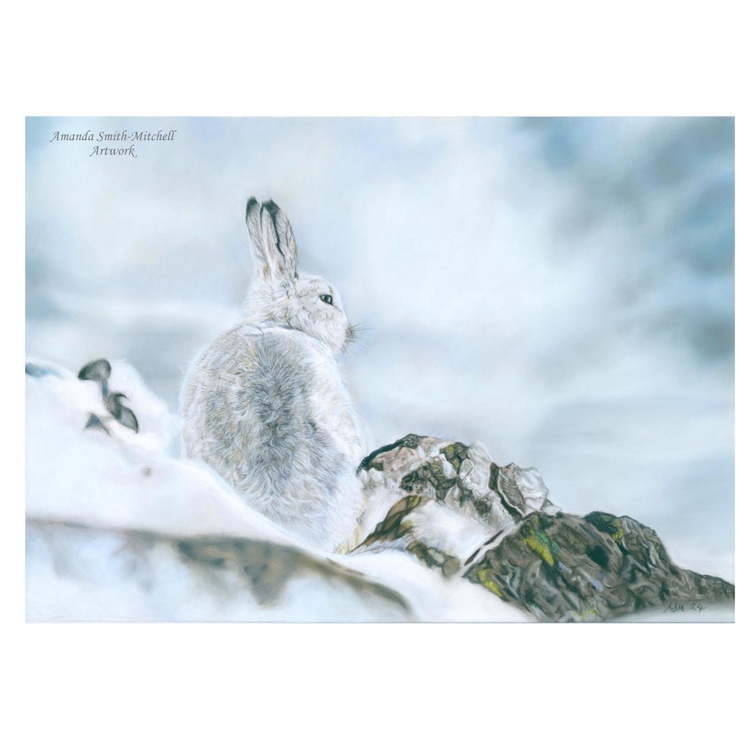 Magic on the Mountain, an Original Pastel Drawing of A Mountain Hare in ...