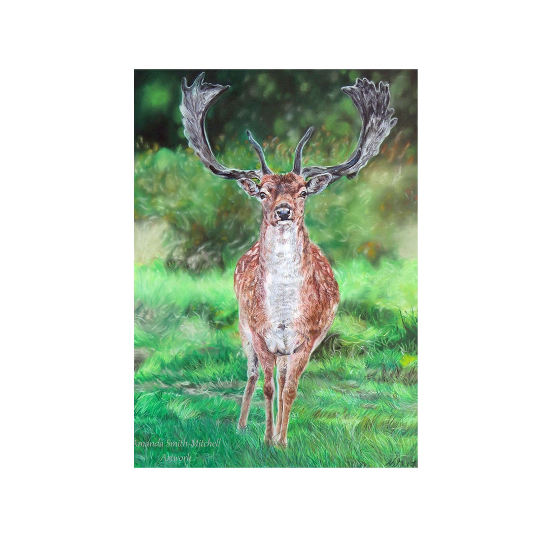 Original Fallow Deer Art in Pastel Pencils - Etsy UK
