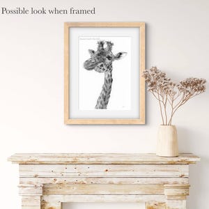 Lofty Lookout, an Original Pencil Drawing of A Giraffe Portrait by Amanda Smith-mitchell - Etsy