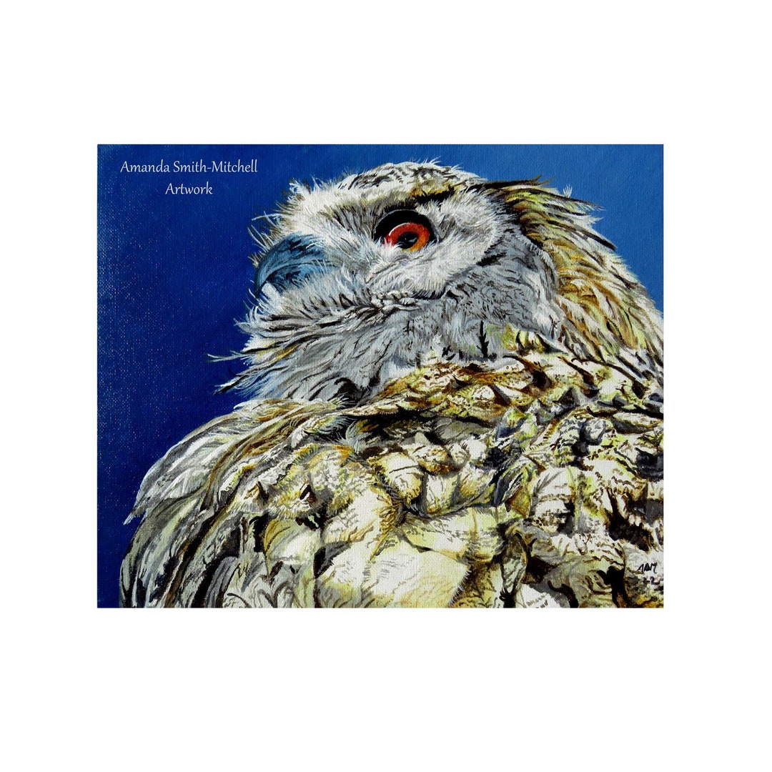 Bold Owl Portrait With A Blue Background in Acrylic Paints. - Etsy