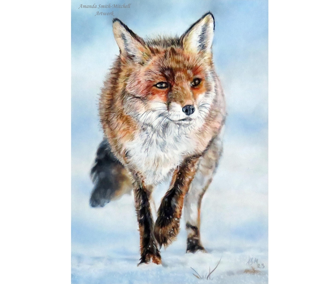 Original Fox in Snow Art in Pastel Pencils A4 - Etsy