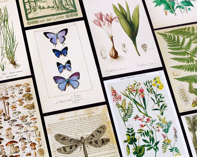 Vintage Style Postcards SHOP EXCLUSIVE Set of 30 Retro - Etsy