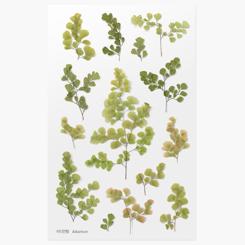 Flower Stickers Geranium Korean Pressed Flower and Plant - Etsy