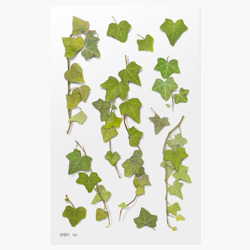 Flower Stickers Geranium Korean Pressed Flower and Plant - Etsy