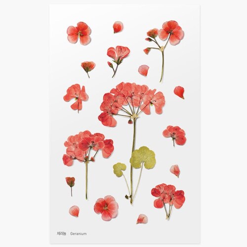 Flower Stickers Geranium Korean Pressed Flower and Plant - Etsy
