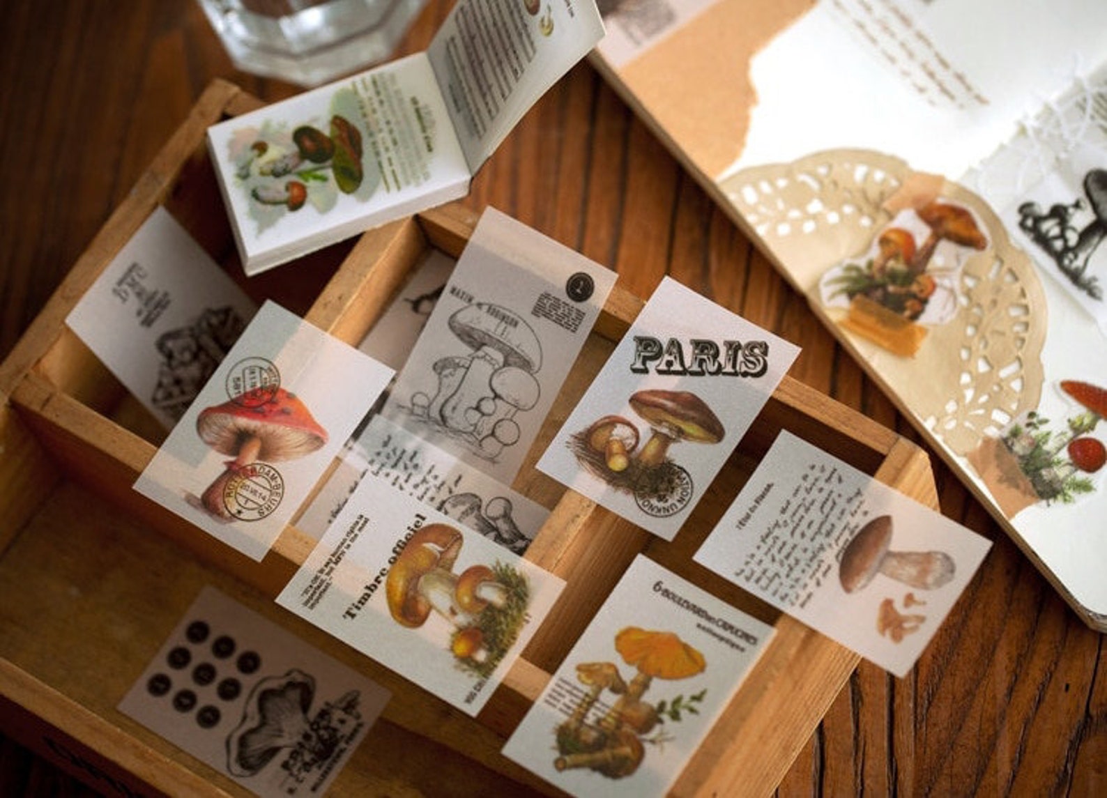 Nature Themed Notepads With Translucent Pages - Small Memo Pad for Art ...