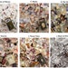 Vintage Mini Cards - 100 Small Printed Cards for Crafts, Scrapbooking ...