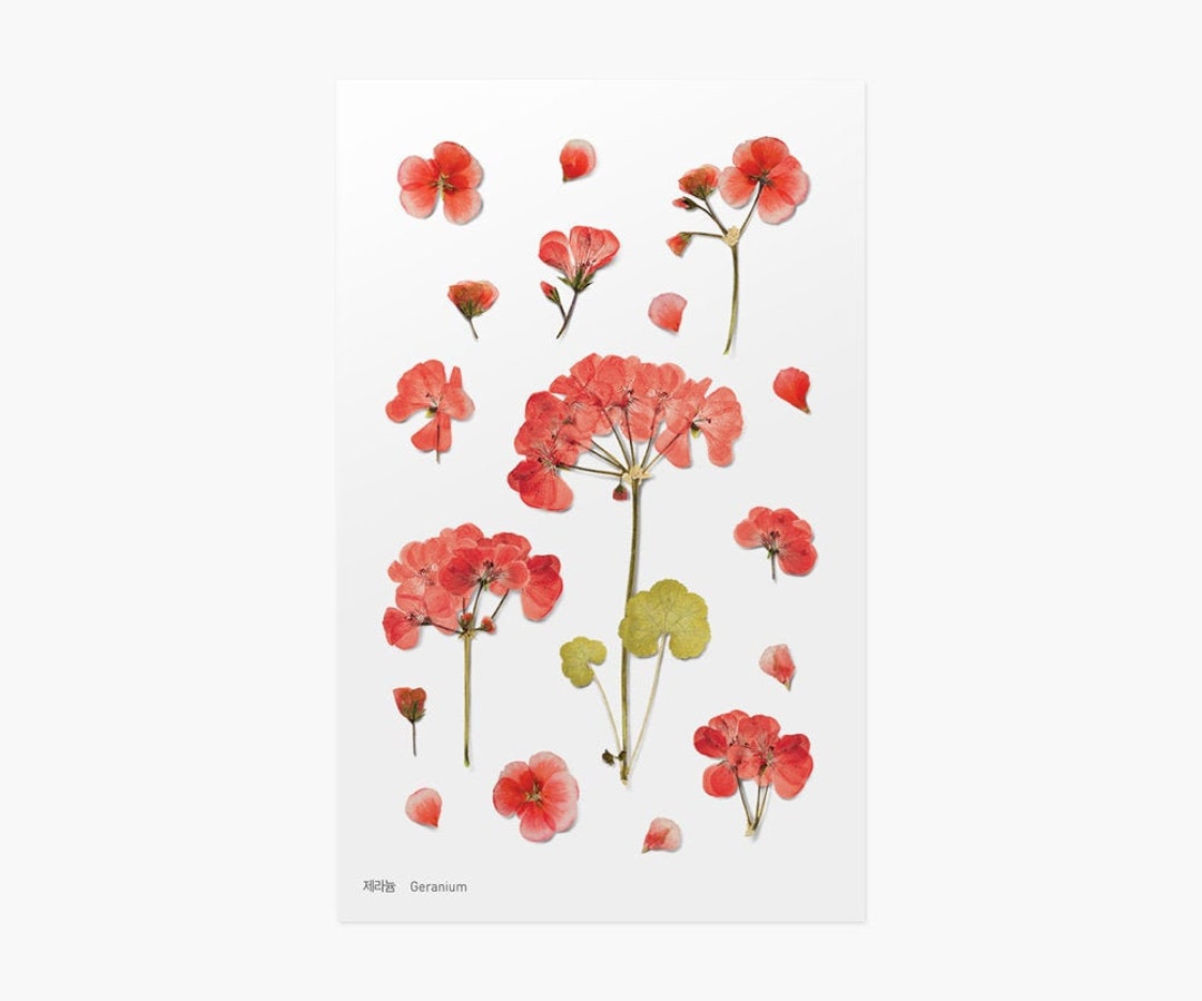 Flower Stickers, Geranium - Korean Pressed Flower and Plant Stickers by ...