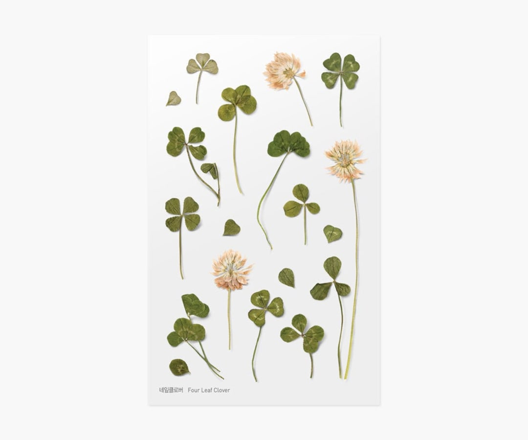 Plant Stickers, Four Leaf Clover - Korean Pressed Flower and Plant ...