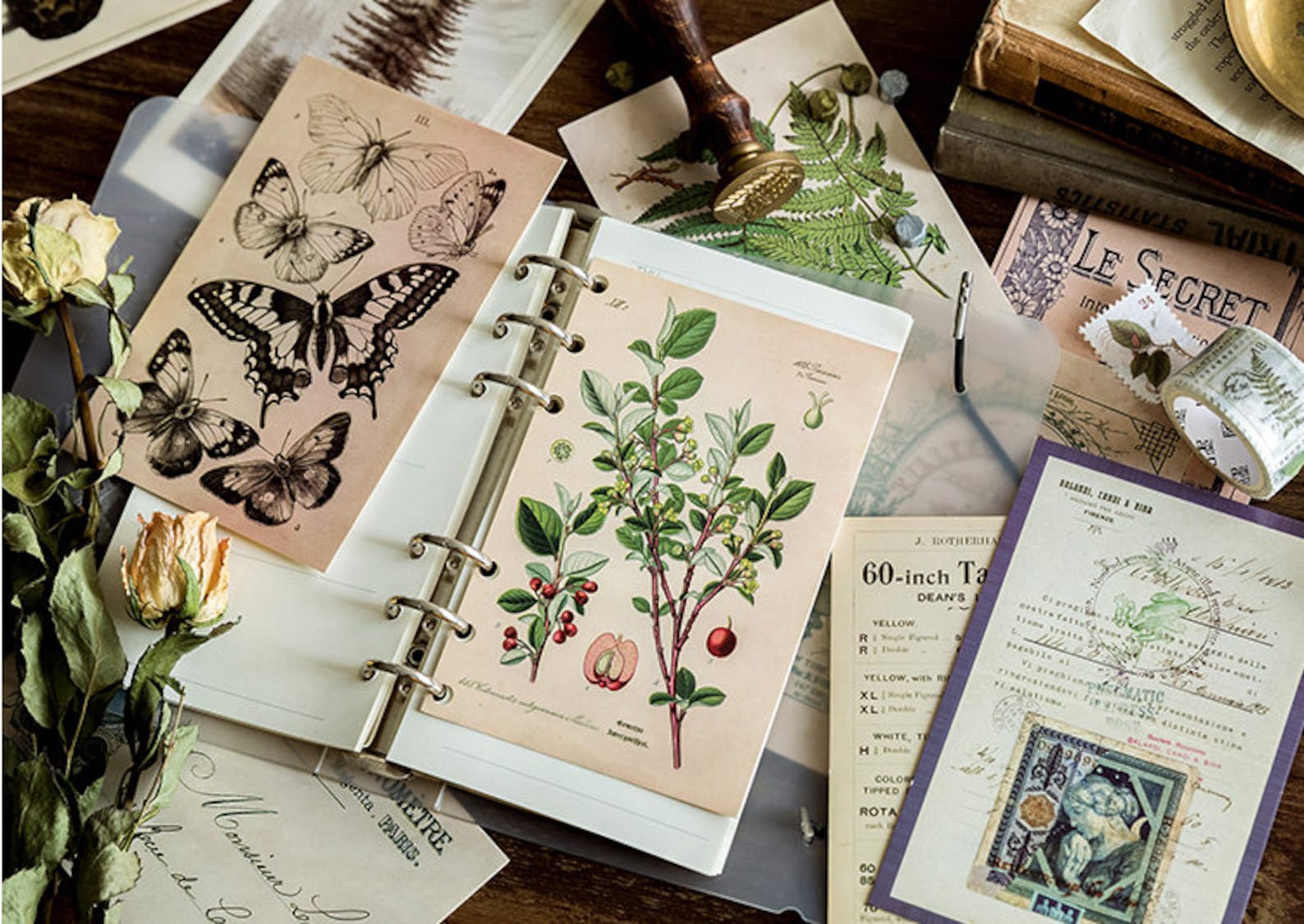 Vintage Style Postcards by Mocard for Scrapbooking Set of 30 Retro ...