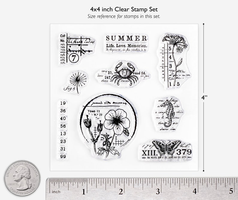 Clear Stamps - Summer, the Seasons Collection *SHOP EXCLUSIVE* for ...