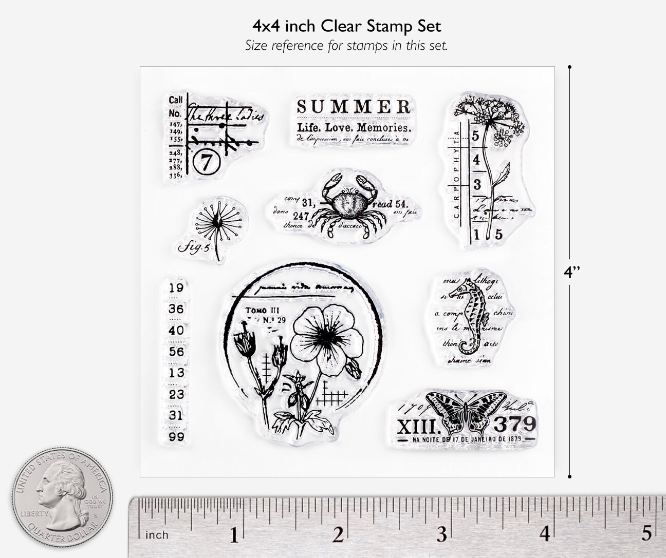 Clear Stamps - Summer, the Seasons Collection *SHOP EXCLUSIVE* for ...