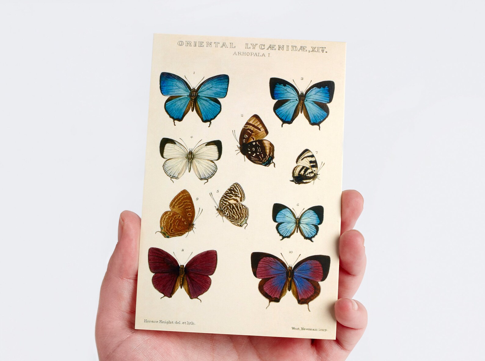 Vintage Style Postcards *SHOP EXCLUSIVE* - Set of 30 Retro Postcards ...