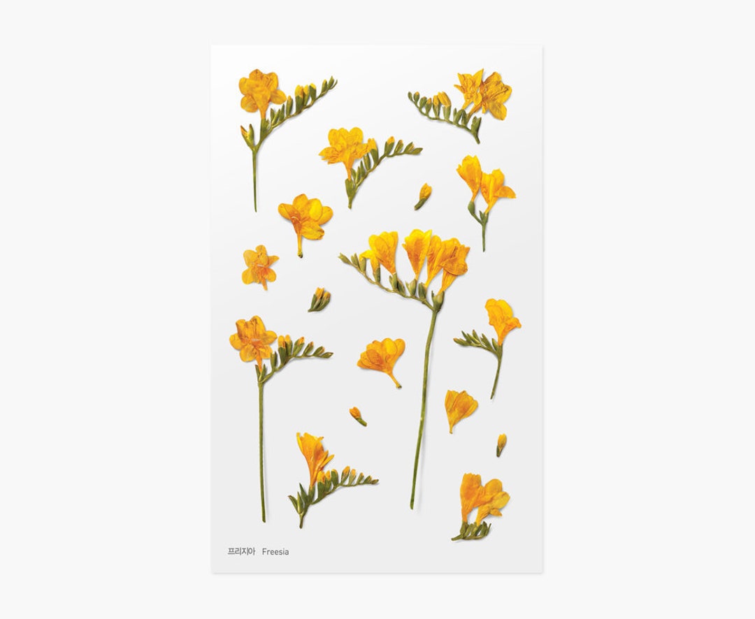 Flower Stickers, Freesia - Korean Pressed Flower and Plant Stickers by ...