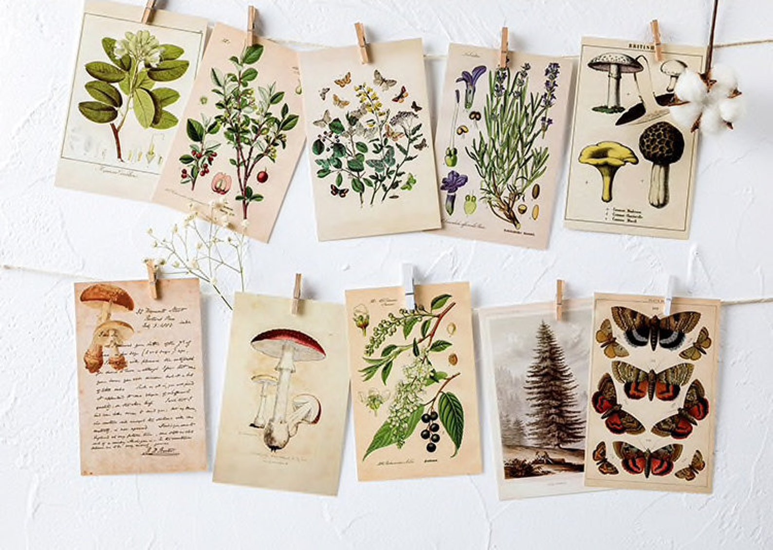 Vintage Style Postcards by Mocard for Scrapbooking Set of 30 Retro ...