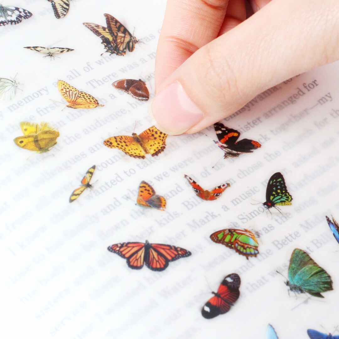 Butterfly Stickers - 30 Nature PET Stickers by Appree for Paper Crafts ...