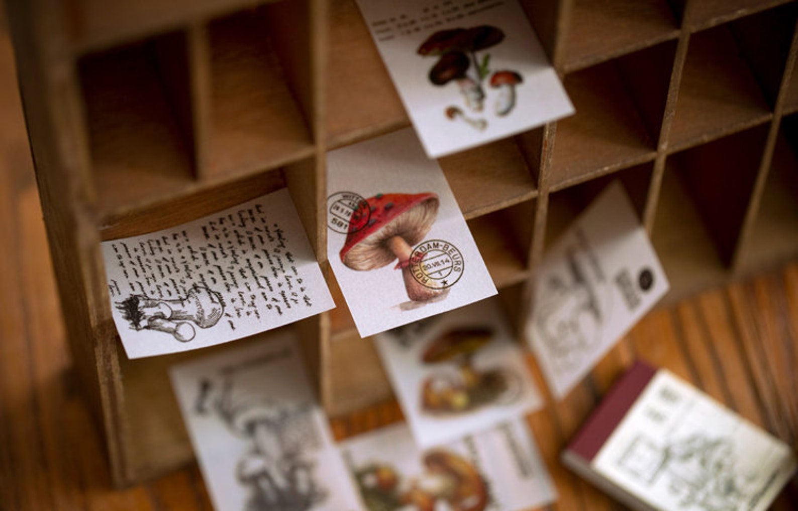 Nature Themed Notepads With Translucent Pages - Small Memo Pad for Art ...