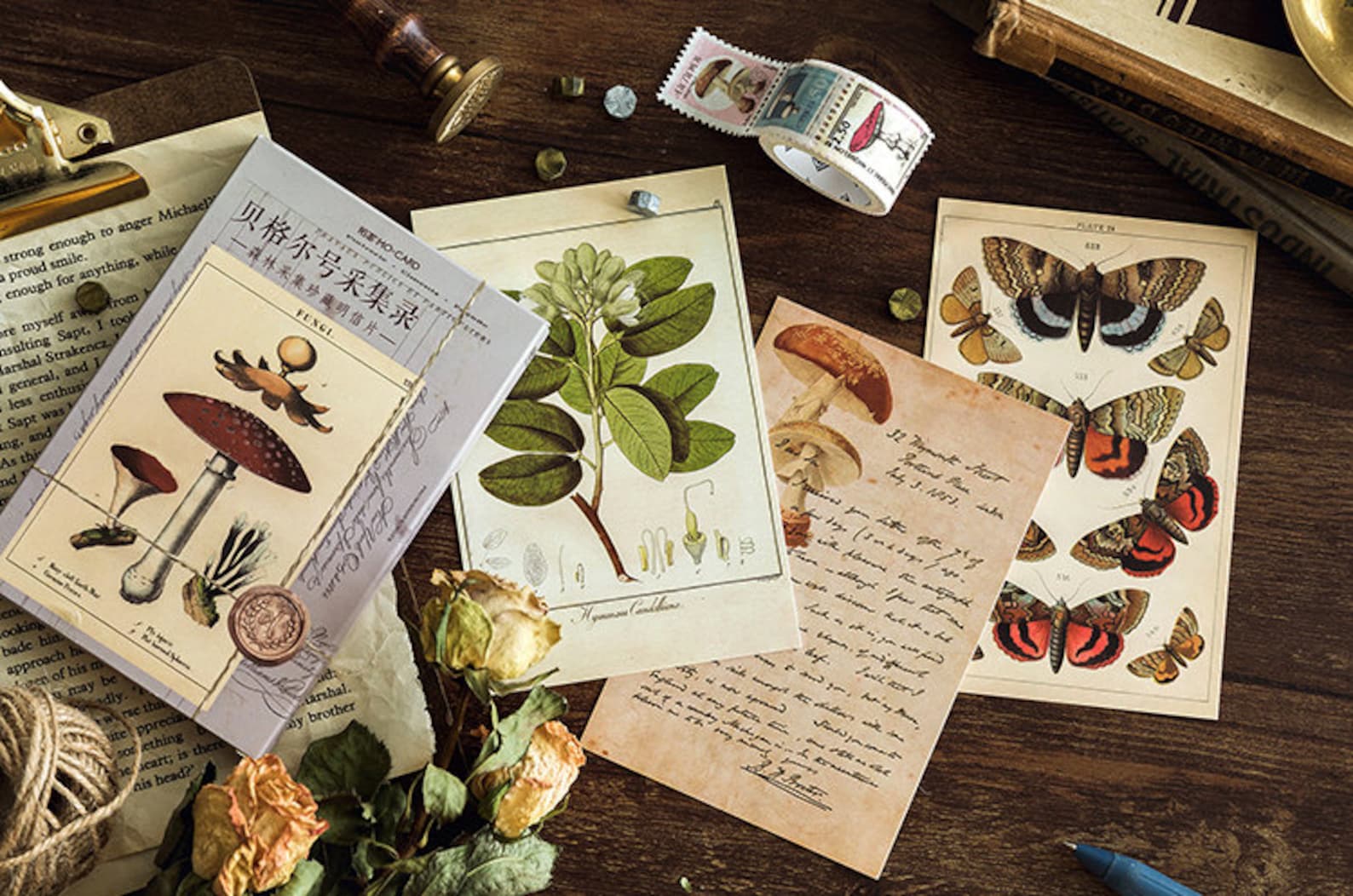 Vintage Style Postcards by Mocard for Scrapbooking Set of 30 Retro ...