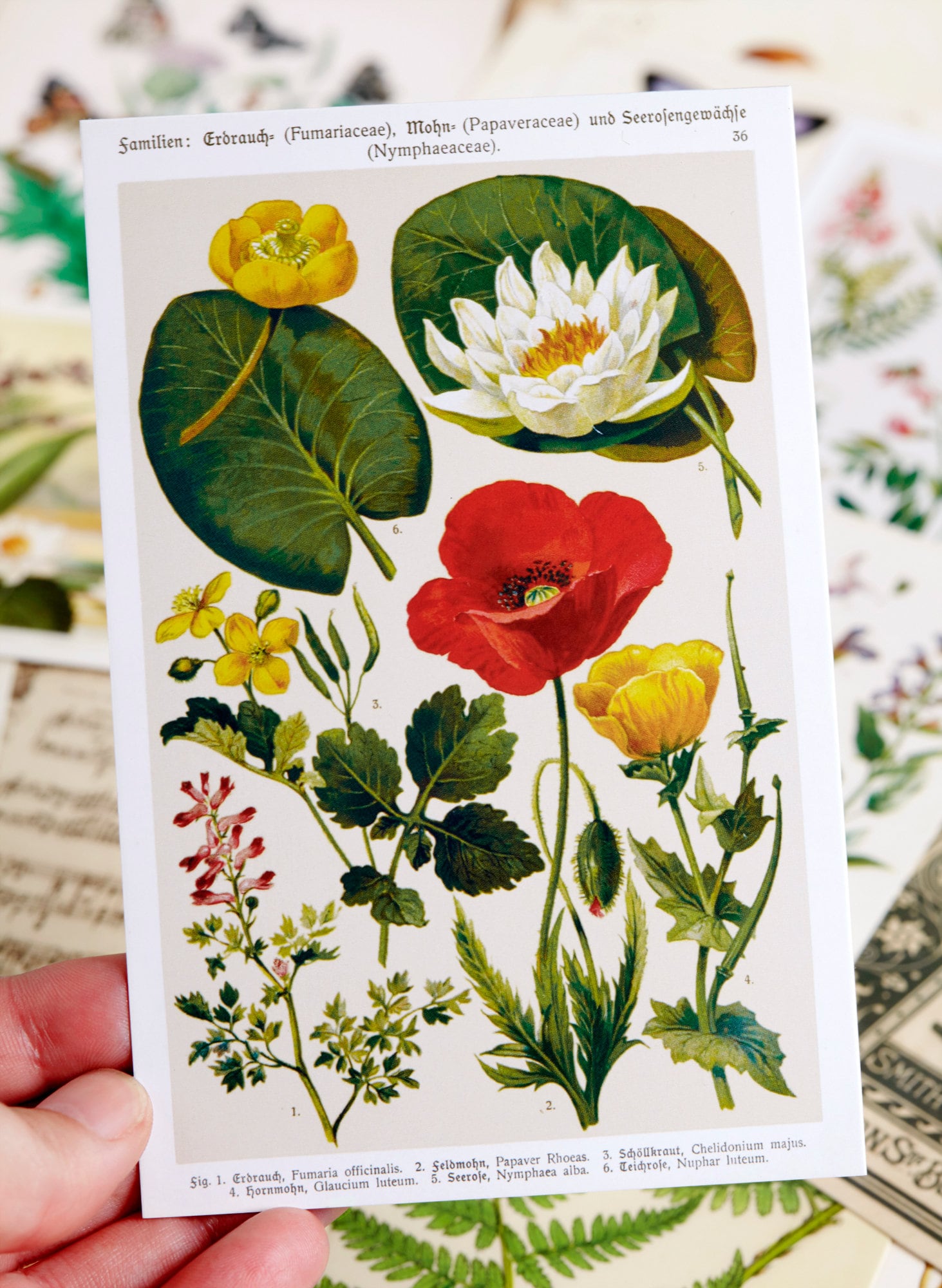 Vintage Style Postcards *SHOP EXCLUSIVE* - Set of 30 Retro Postcards ...