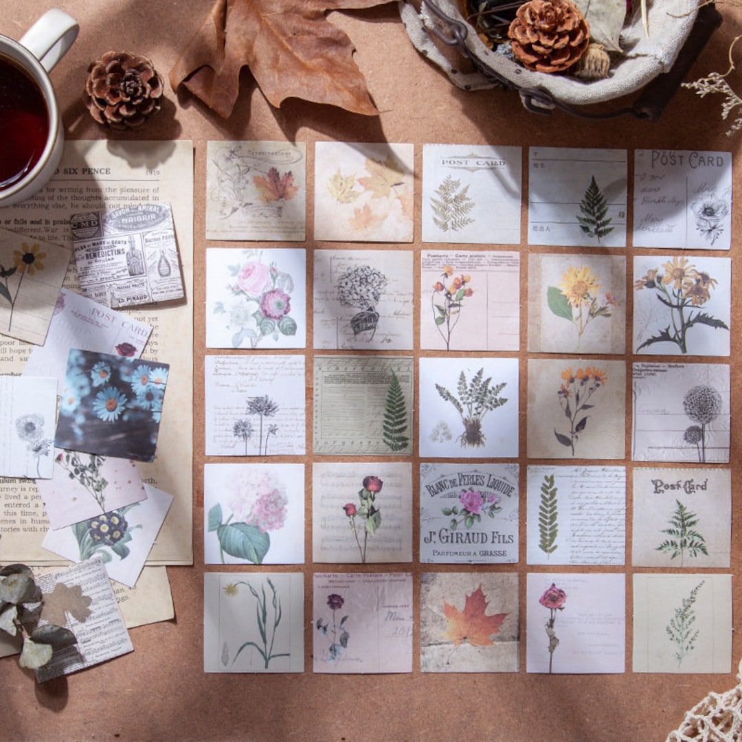 Nature Sticker Sets - 20 Die Cut Vintage Floral Stickers for Art ...