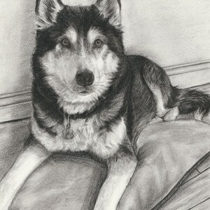 Pet Portrait Custom Drawing Dog or Cat Memorial Gift for Animal Lovers ...