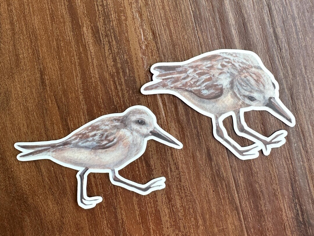 Sandpiper Sticker Set Watercolor Bird Vinyl Decals Coastal Beach ...