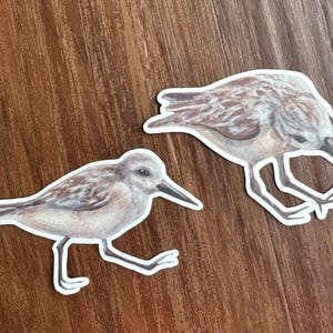 Sandpiper Sticker Set Watercolor Bird Vinyl Decals Coastal Beach ...