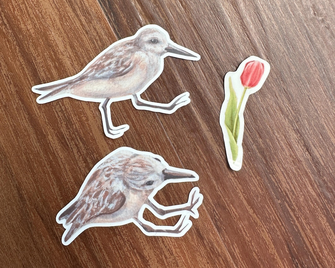 Sandpiper Birds Watercolor Sticker Set - Etsy