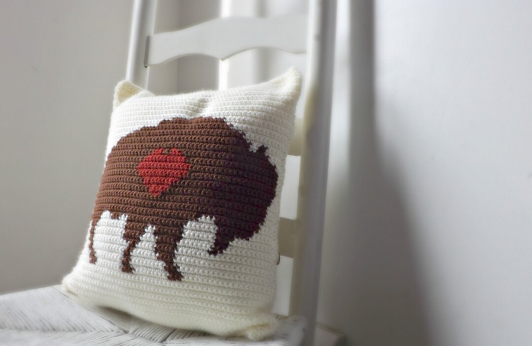 Pattern: Buffalo Love Crocheted Graph Pillow Pattern - Etsy