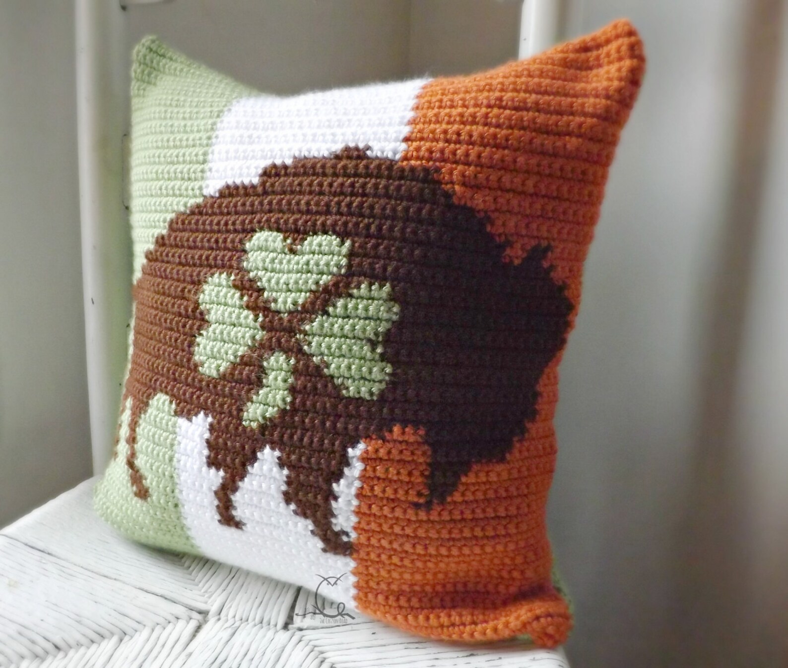 Pattern: Buffalo Love Irish Crocheted Graph Pillow - Etsy