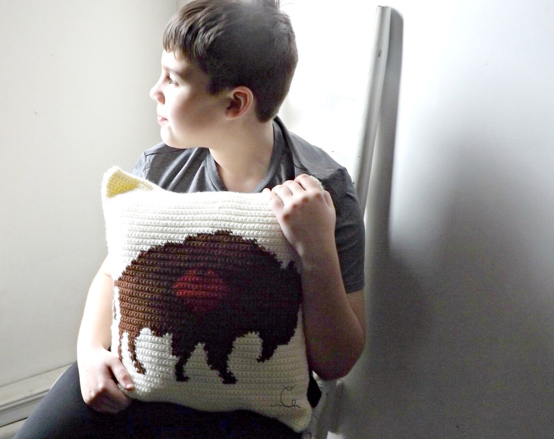 Pattern: Buffalo Love Crocheted Graph Pillow Pattern - Etsy