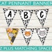 Cat Pennant Banner // Pet Adoption Birthday Party Baby - Etsy