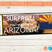 Printable and Editable Tickets to Arizona Adobe Editable PDF, Trip ...