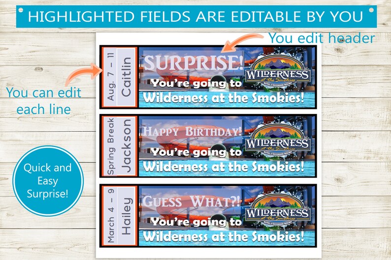 Novelty Wilderness at the Smokies Surprise Trip Reveal Tickets // Adobe ...