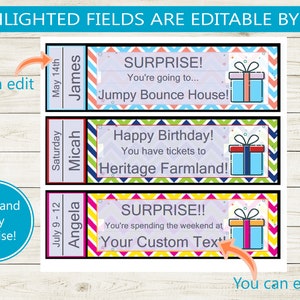 Editable PDF Surprise Tickets for Any Gift // Adobe Editable PDF ...