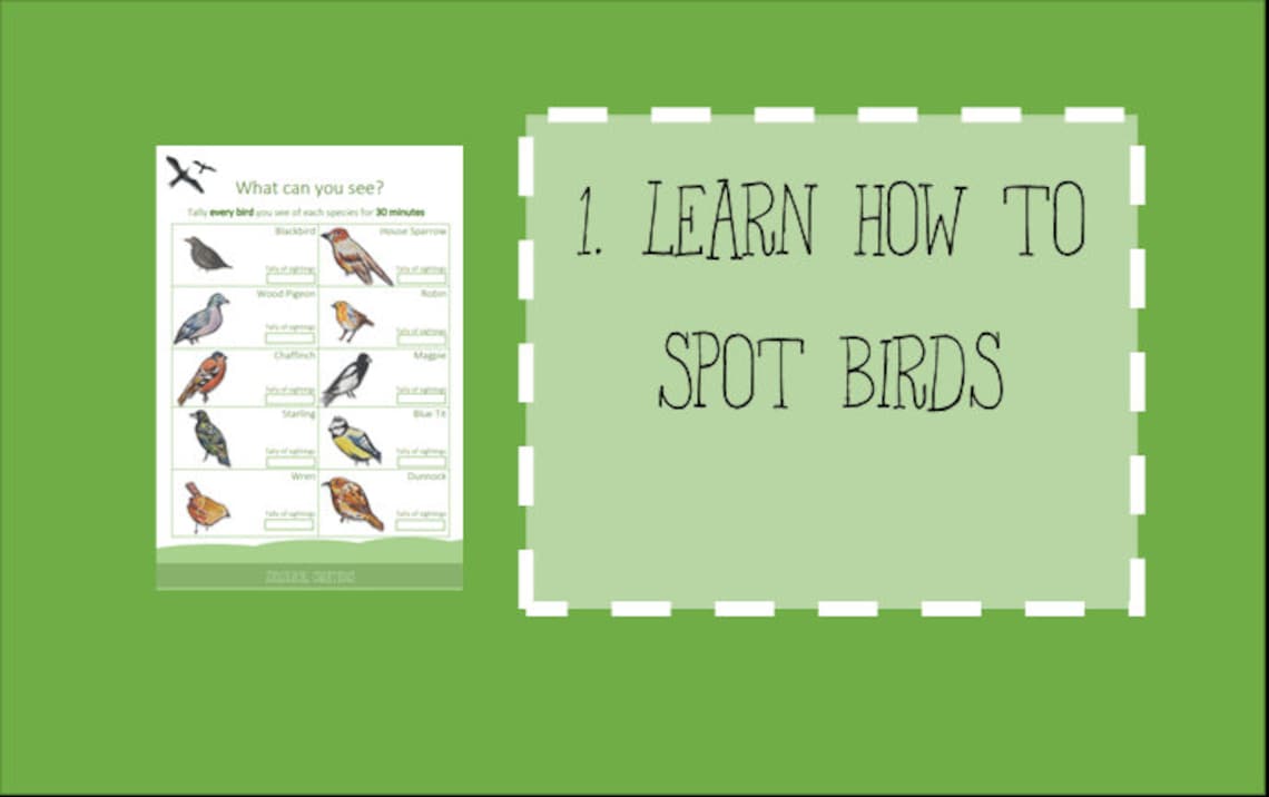 PDF Downloadable UK Bird Watching Activity Pack/ Bird | Etsy
