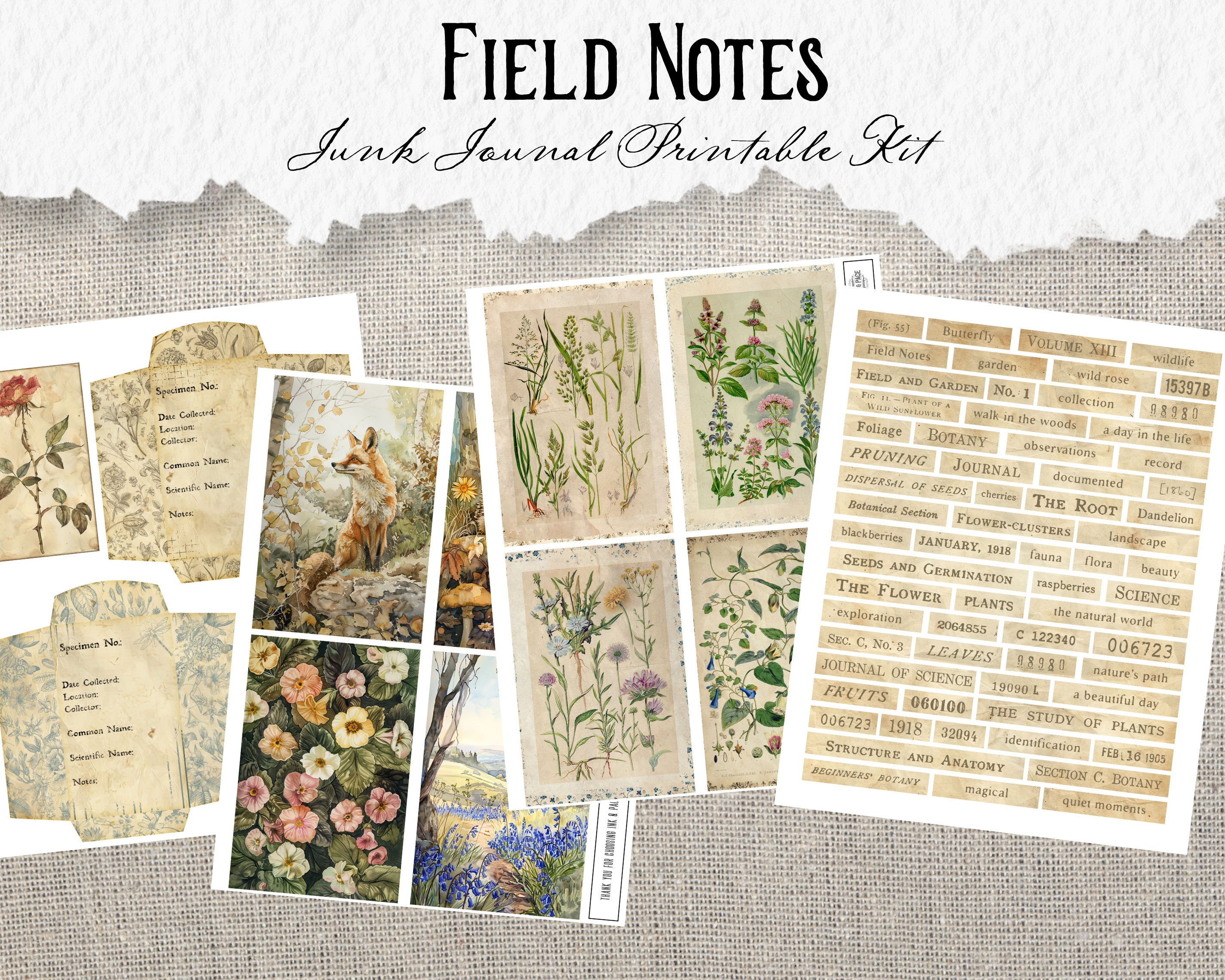 Field Notes Junk Journal Printable Kit Nature Digital Download ...