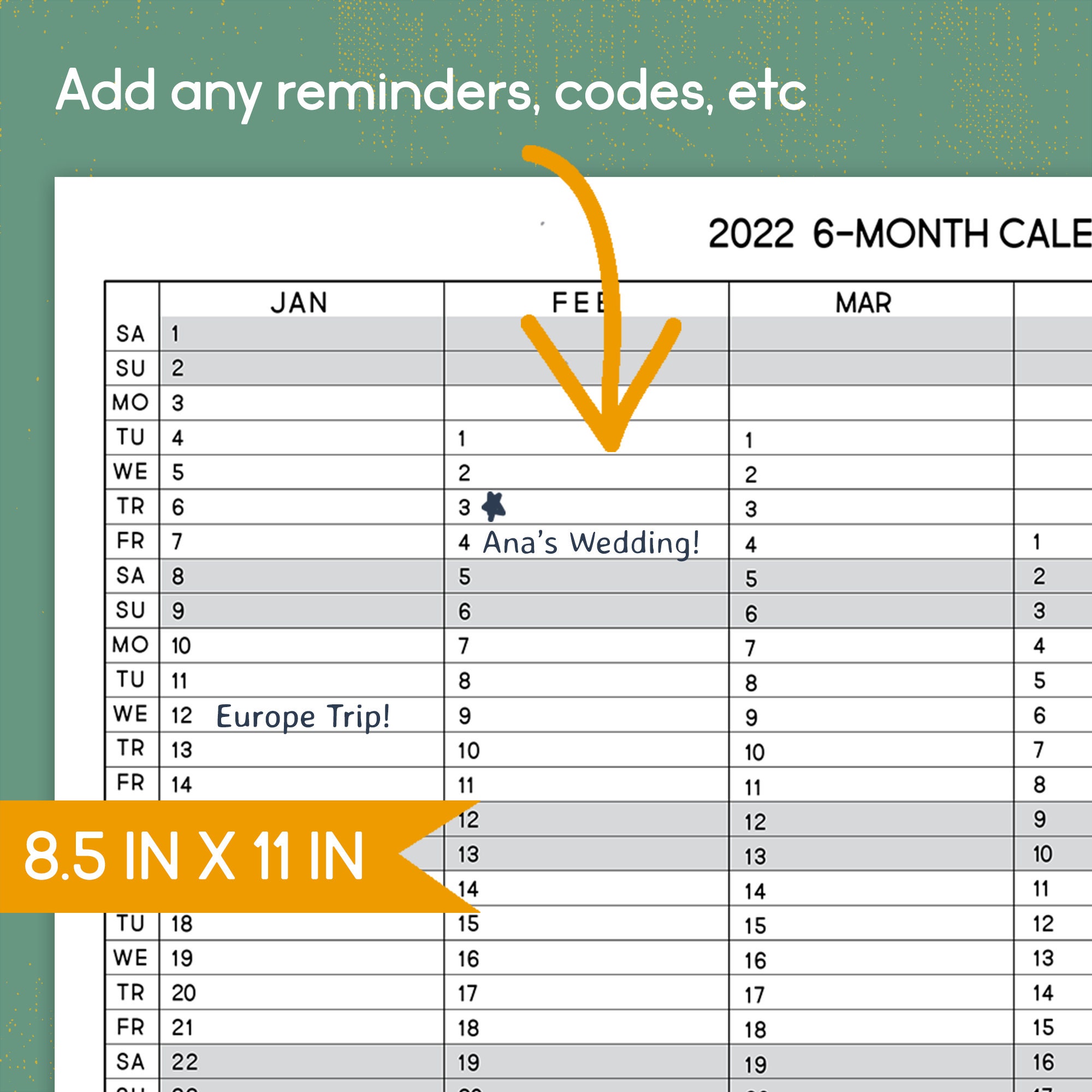2022 6-months Vertical Planning Calendar - Etsy