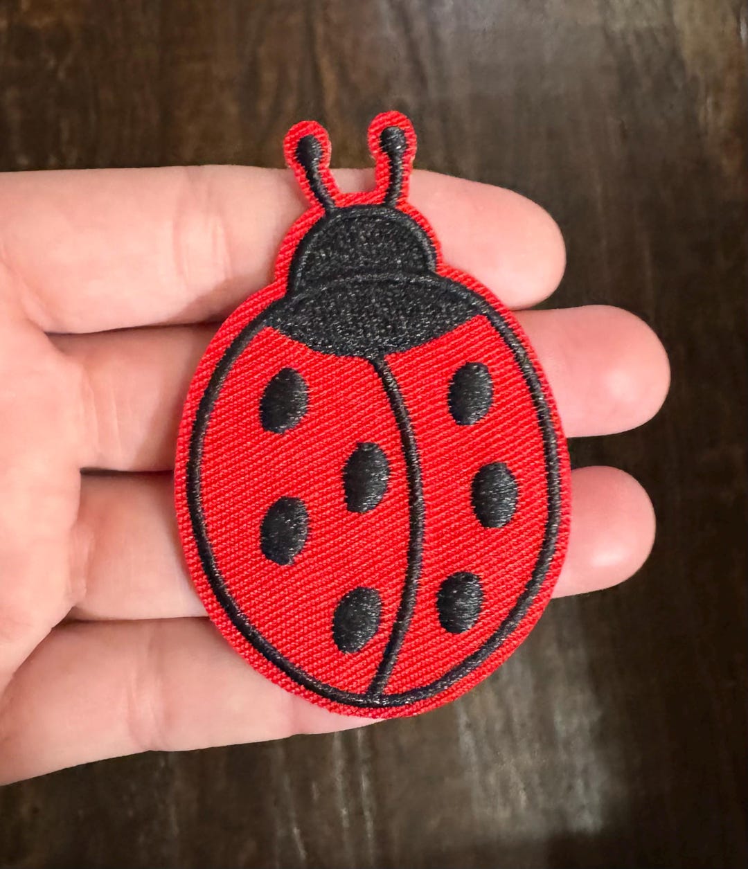 Ladybug Iron on Patch - Etsy