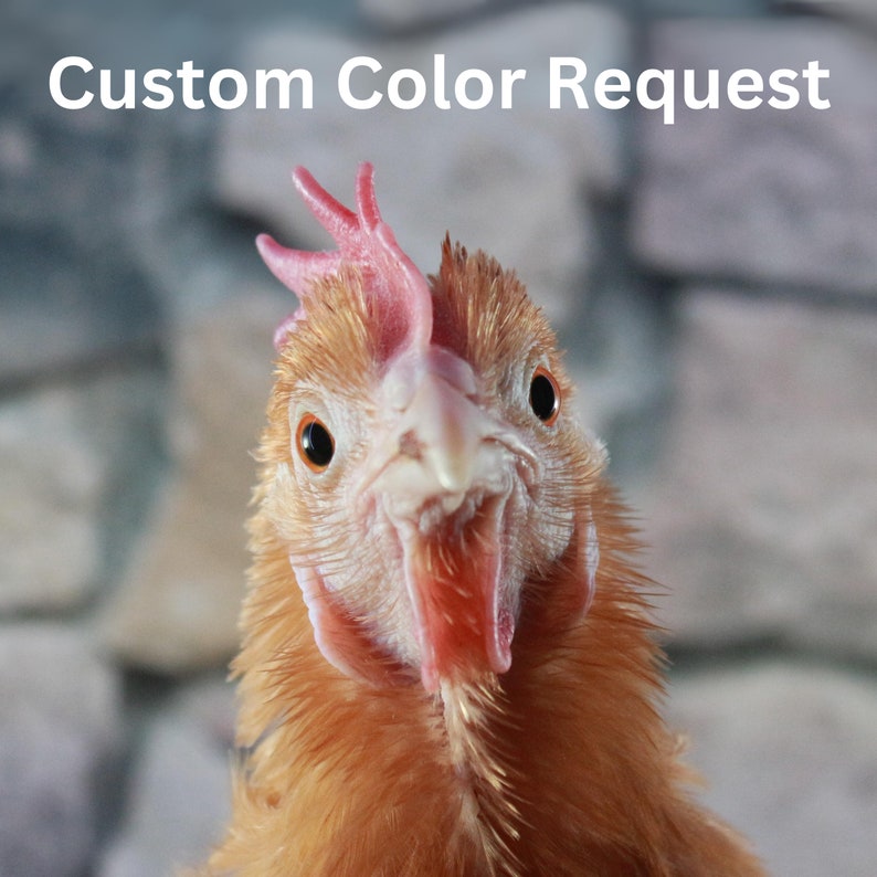 Charlie the Chonky Crocheted Chicken - Etsy