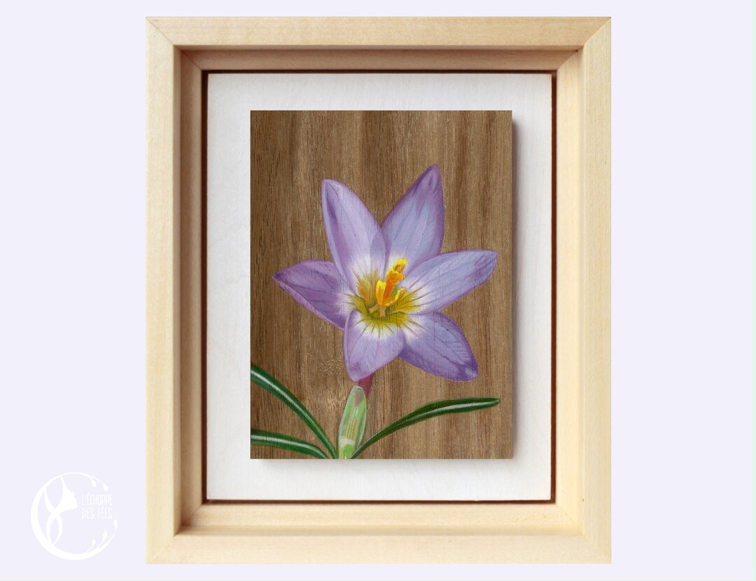Hand-painted Miniature Painting in Oil Paint Depicting a Crocus Flower ...