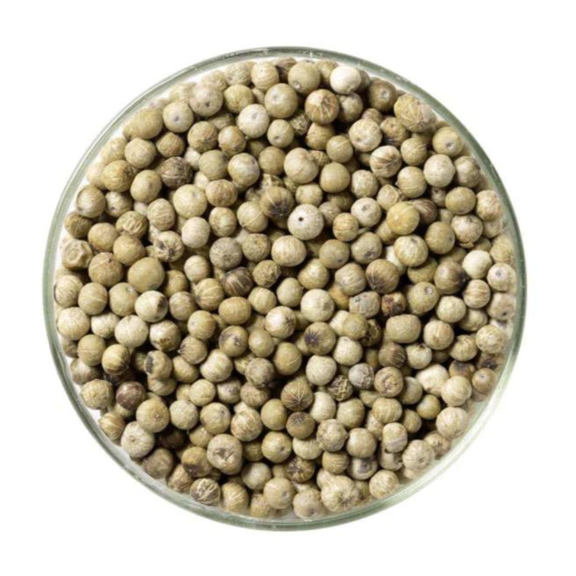 KAMPOT WHITE Pepper I Gourmet Peppers | 60g/2.12oz Glass Jar | White’s ...