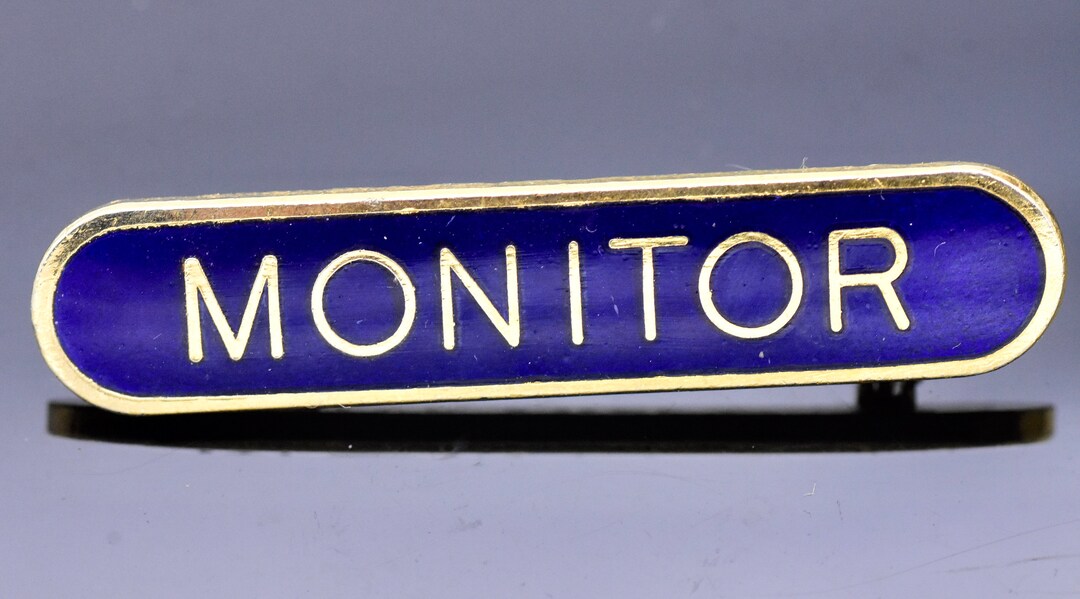 Lovely Blue Enamel MONITOR Badge - Etsy
