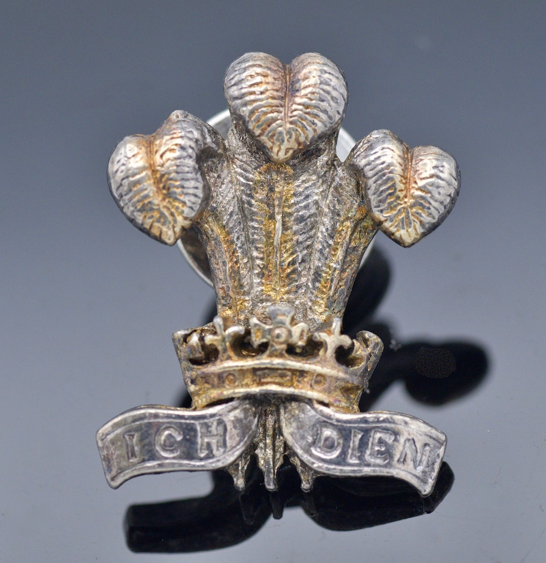 WW1 Prince of Wales's Leinster Regiment Bi Metal Collar Badge - British ...