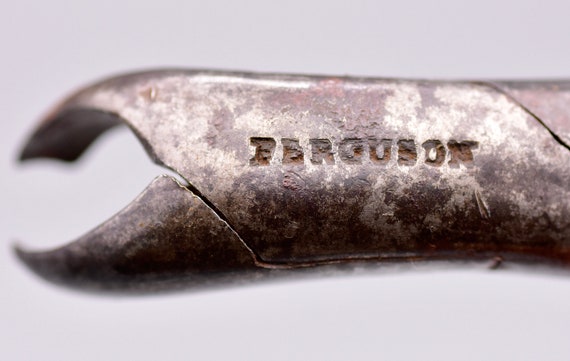 Antique early Dental tooth Extraction tool pullers Fergusan | Etsy