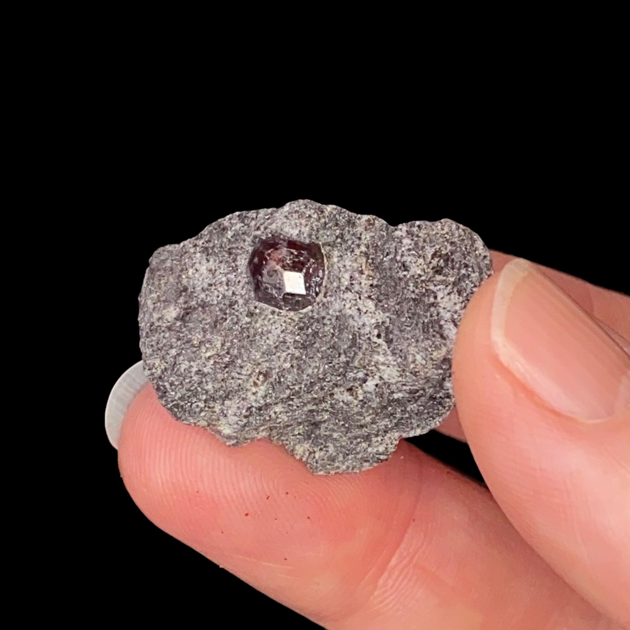 Almandine Garnet in Mica Schist, From the Famous Garnet Ledge, Wrangell ...