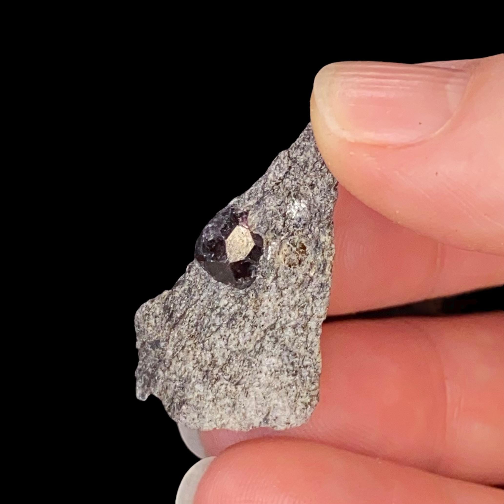 Almandine Garnet in Mica Schist, From the Famous Garnet Ledge, Wrangell ...
