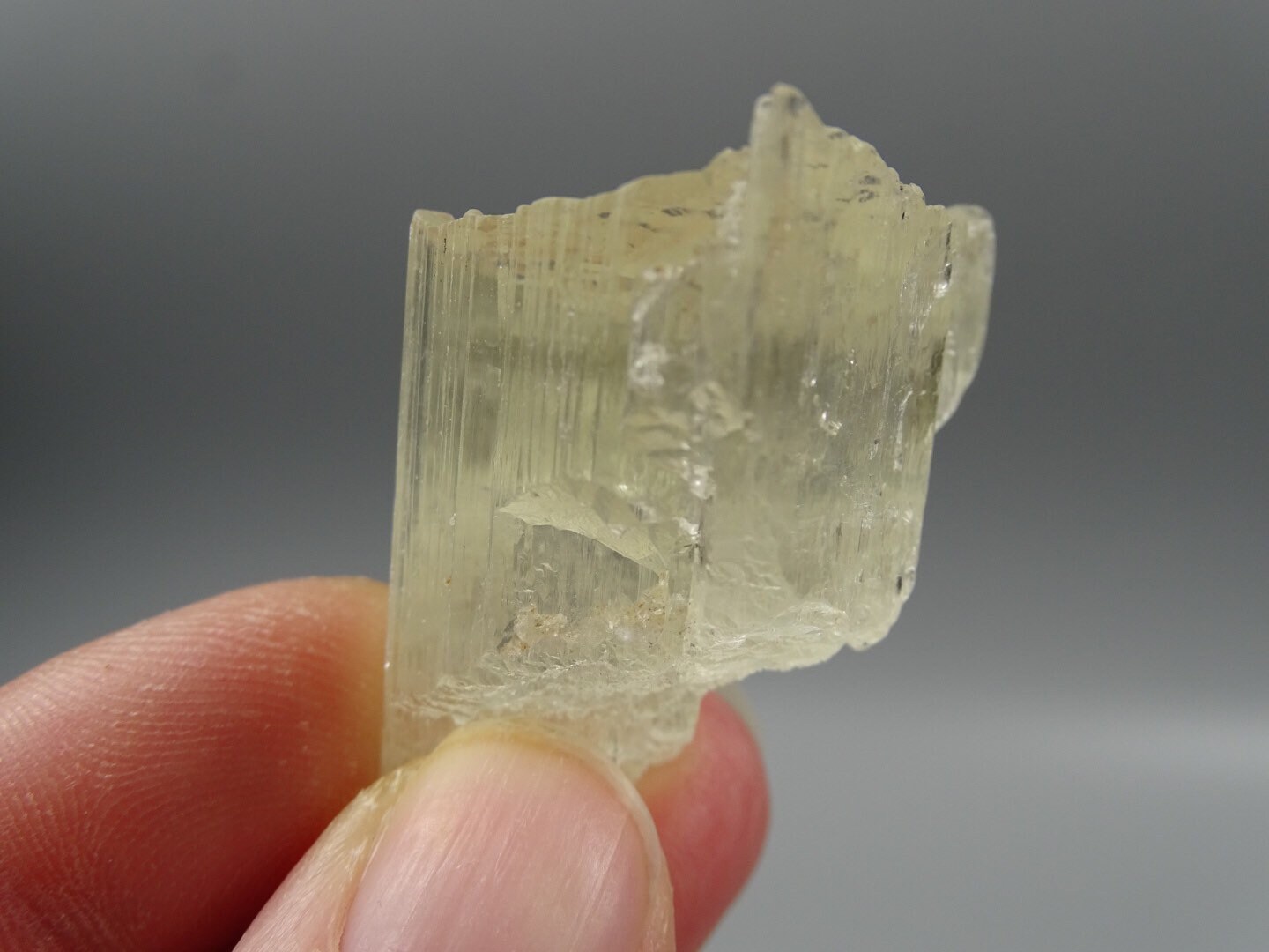 UV Reactive Light Yellow Triphane Spodumene Crystal - Record Keeper UV Reactive Light Yellow Triphane Spodumene Crystal - Record Keeper